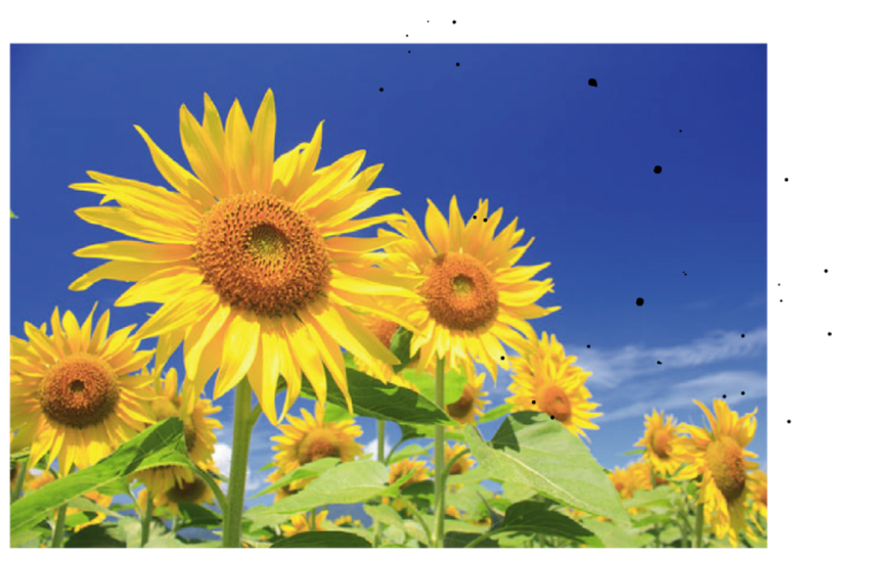 Fine ink droplets occur in the print results. | About trouble | FAQ ...